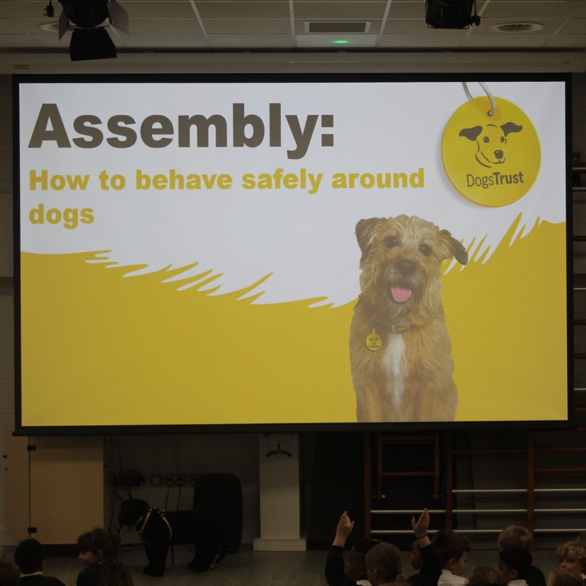 St. Anne’s Catholic Primary School - Dogs Trust Assembly