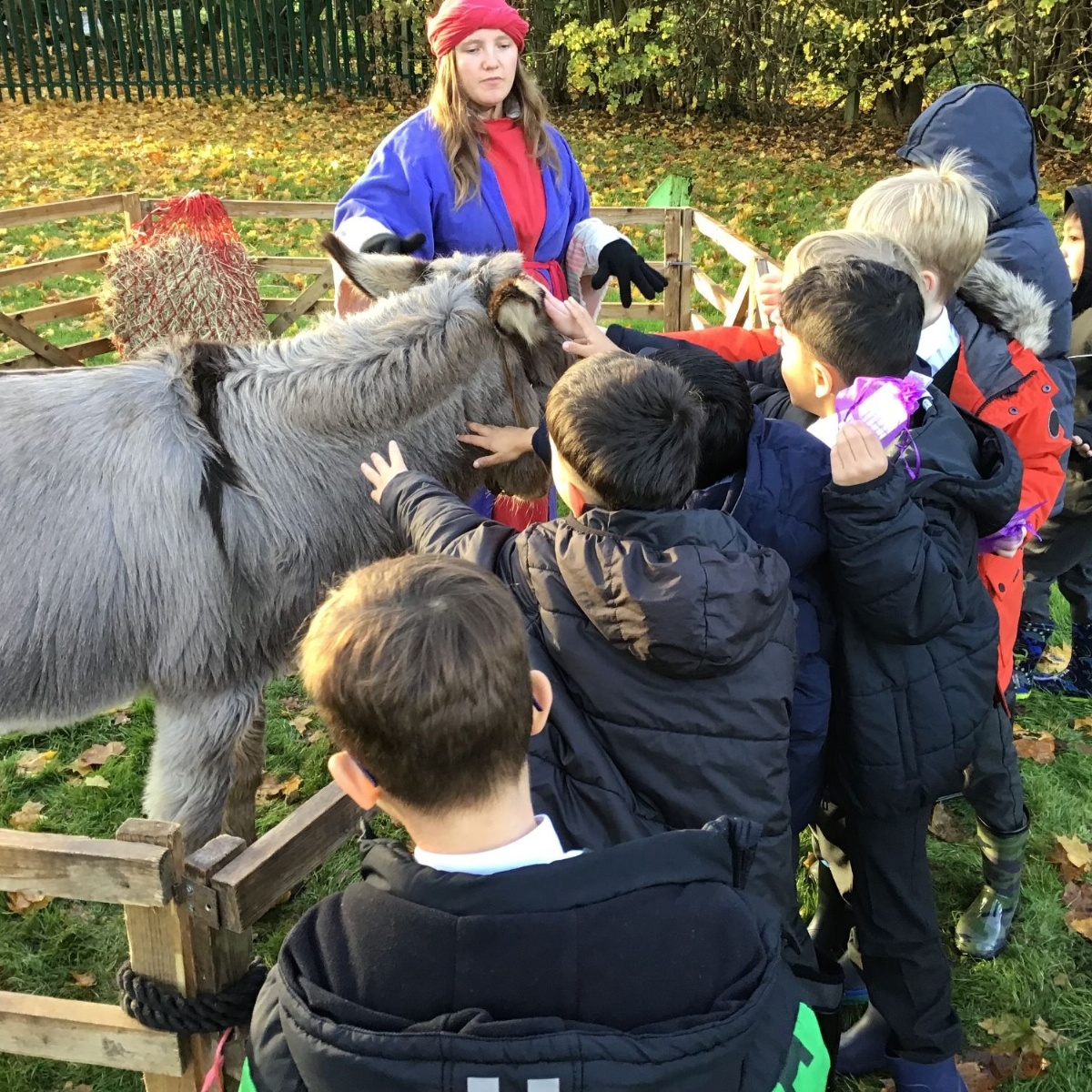 St. Anne’s Catholic Primary School - Wintershall Nativity